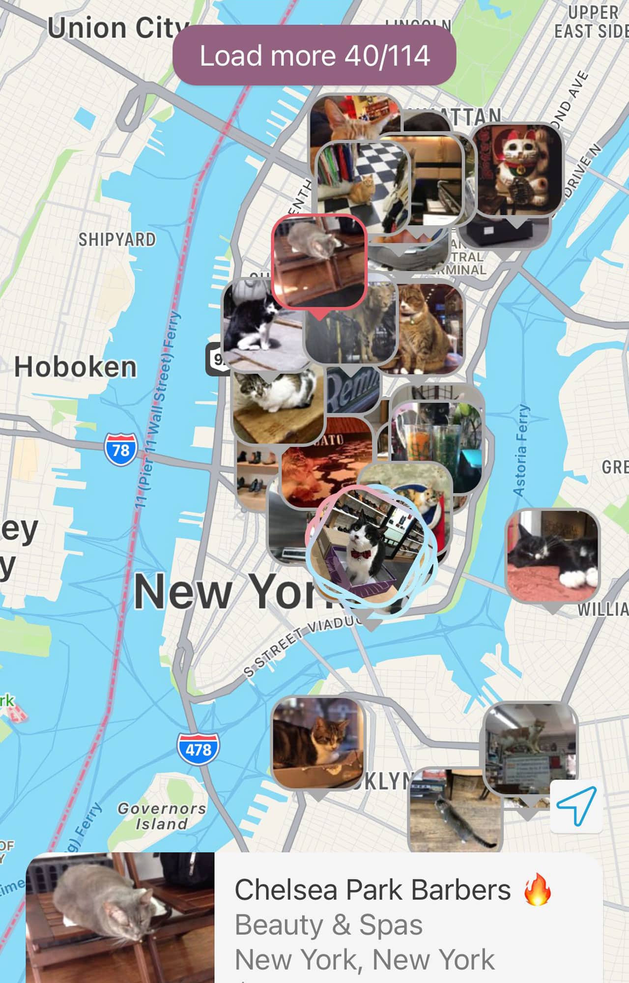 New App Helps You Find Cute Shop Cats Around the World
