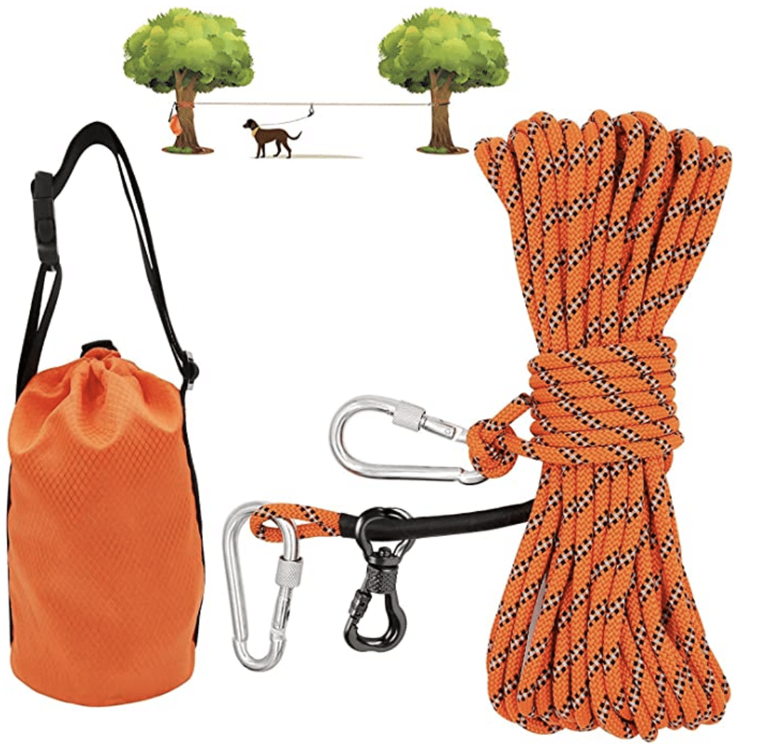The 7 Best Long Dog Leashes for Training, Exercise, Romps