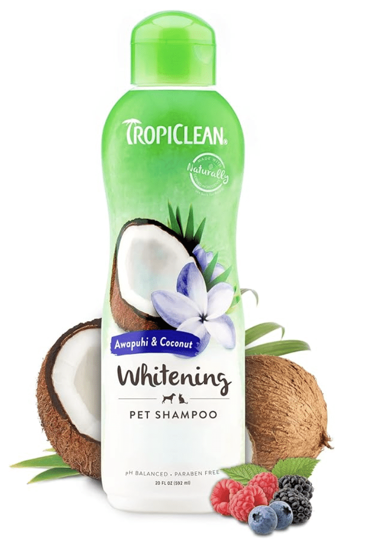 The 9 Best Whitening Shampoos to Keep a Dog's Coat Bright