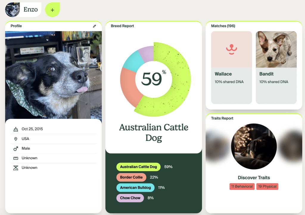 Rover Test Pups Review the Ancestry Dog DNA Test Kit