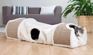 The 11 Best Cat Tunnels in Every Size, Shape, and Style