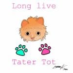 Meet Tater Tot the Newborn, the Internet's Favorite Foster Kitty