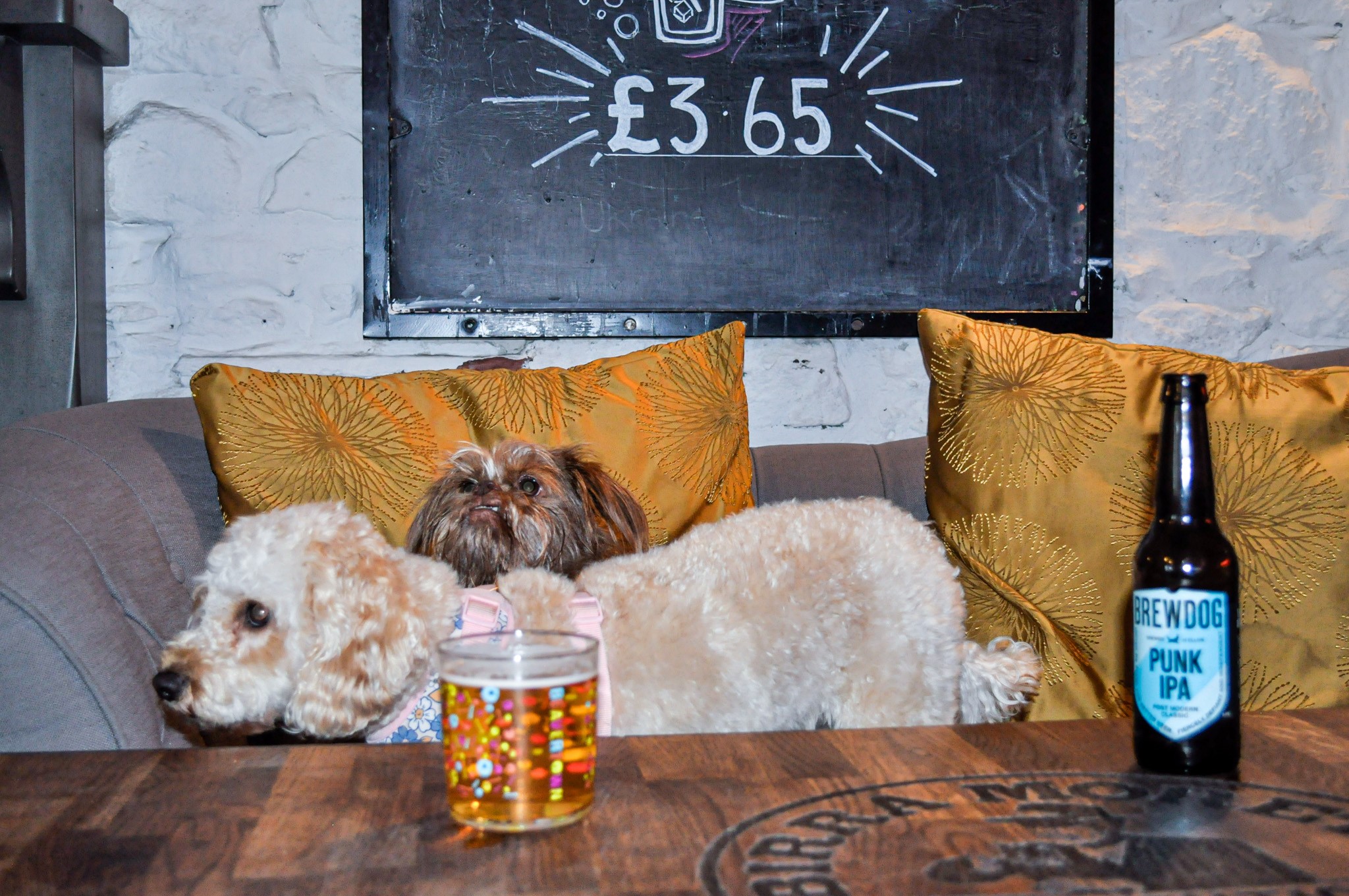 The Best Dog-Friendly Pubs in Scotland
