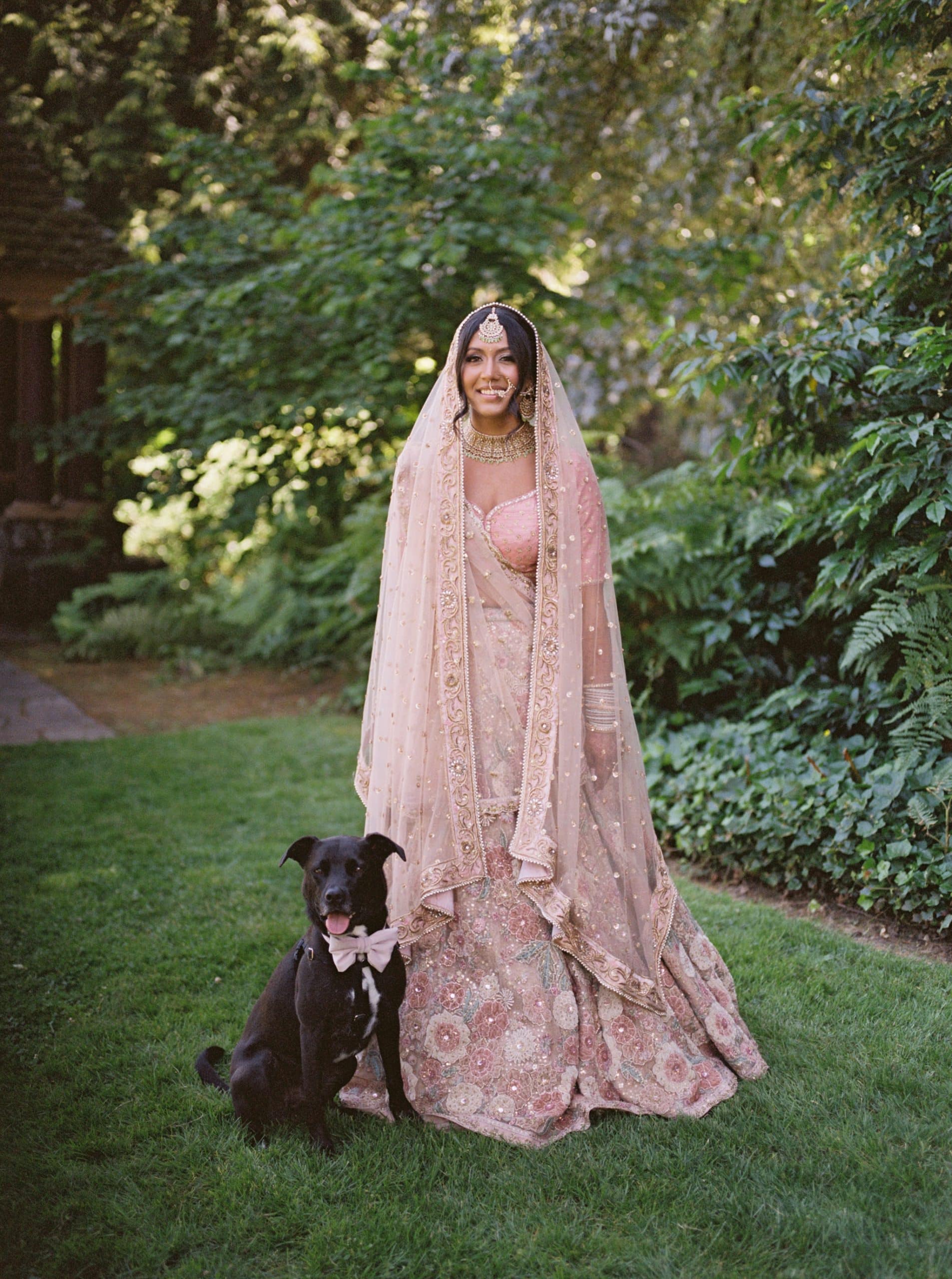 Cómo organizar una boda con perros exitosa: descubre los tips
