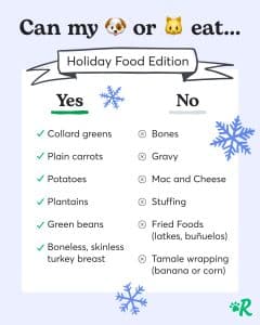 Holiday Foods That Are Toxic for Pets