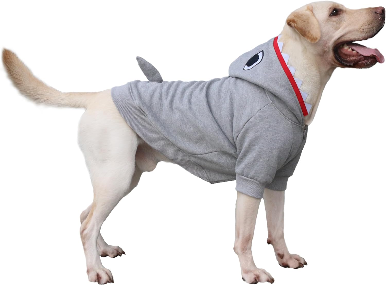 The Best Clothing Brands for Large Dogs and Giant Breeds