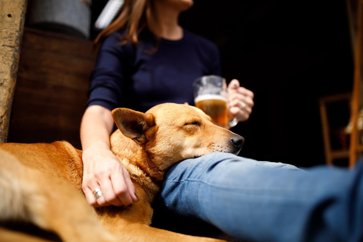 Most Popular Alcohol Names for Dogs
