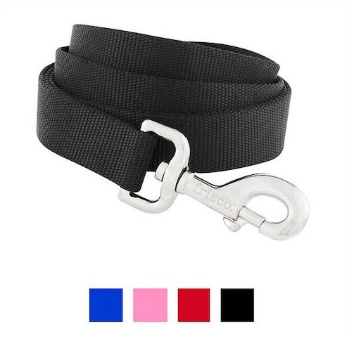 Leashes for Big Dogs | The 17 Best Leashes To Walk Your Lovable Giant