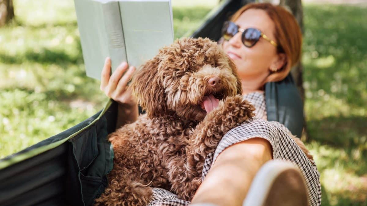 200+ Best Literary Dog Names for Book Lovers