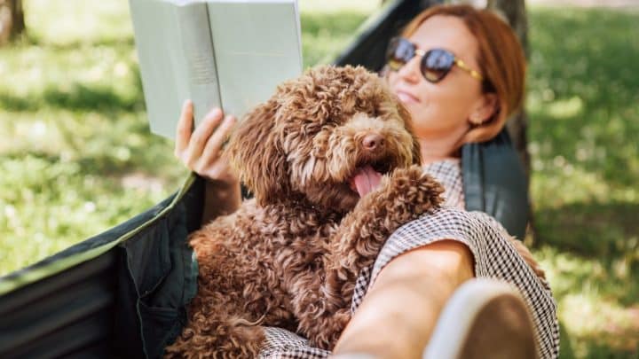 200+ Best Literary Dog Names for Book Lovers