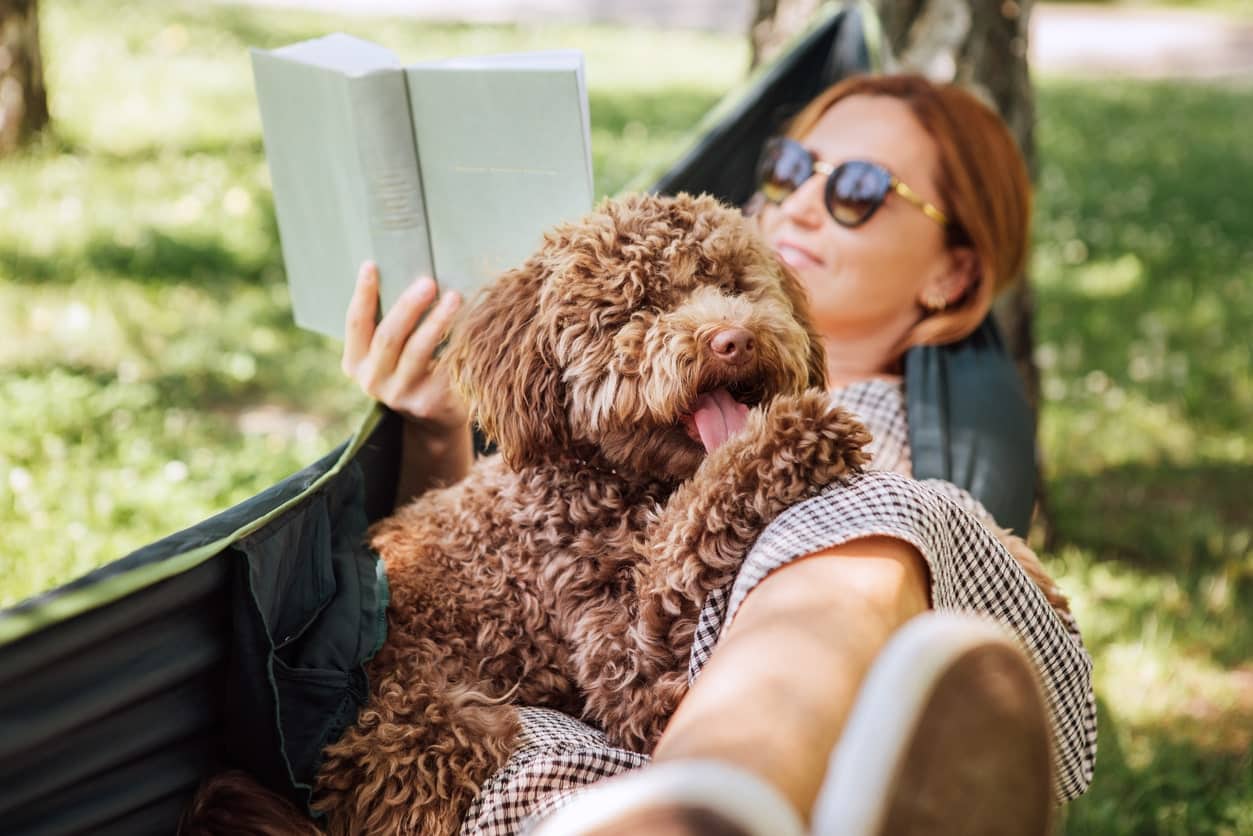 200+ Best Literary Dog Names for Book Lovers