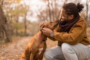 Here's Why Your Dog Is Reactive & How You Can Help