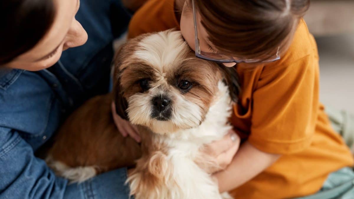 Can Dogs Have Autism: Signs, Symptoms & What to Do