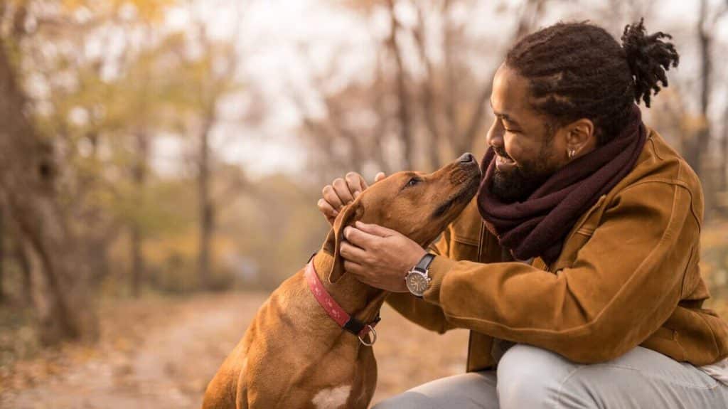 Can Dogs Sense Depresson And Anxiety? Sign & Triggers They Do