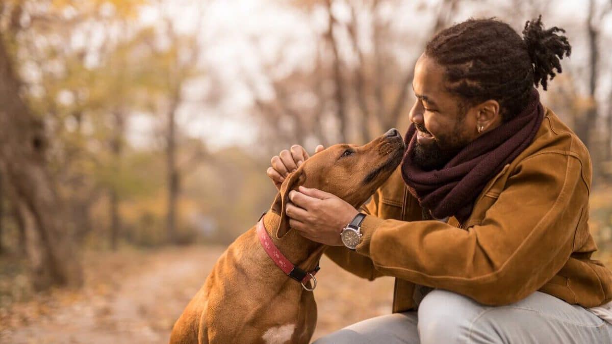 Can Dogs Sense Depresson And Anxiety? Sign & Triggers They Do