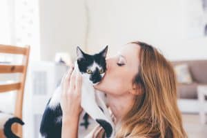 Why Cats Love Getting Their Cheeks Scratched and Rubbed?