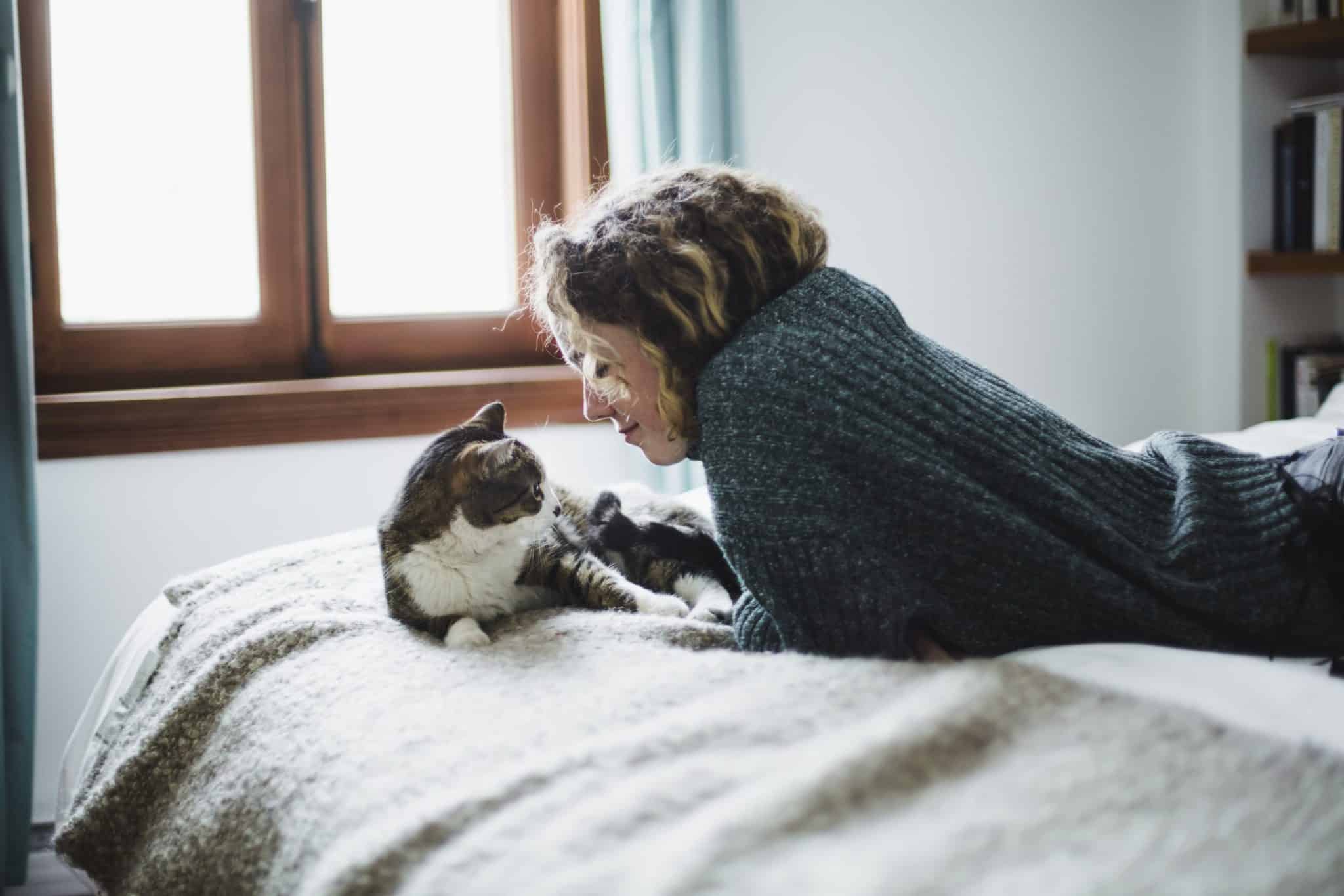 10 Ways To Get A Cat To Trust You If They’re Shy Or Scared