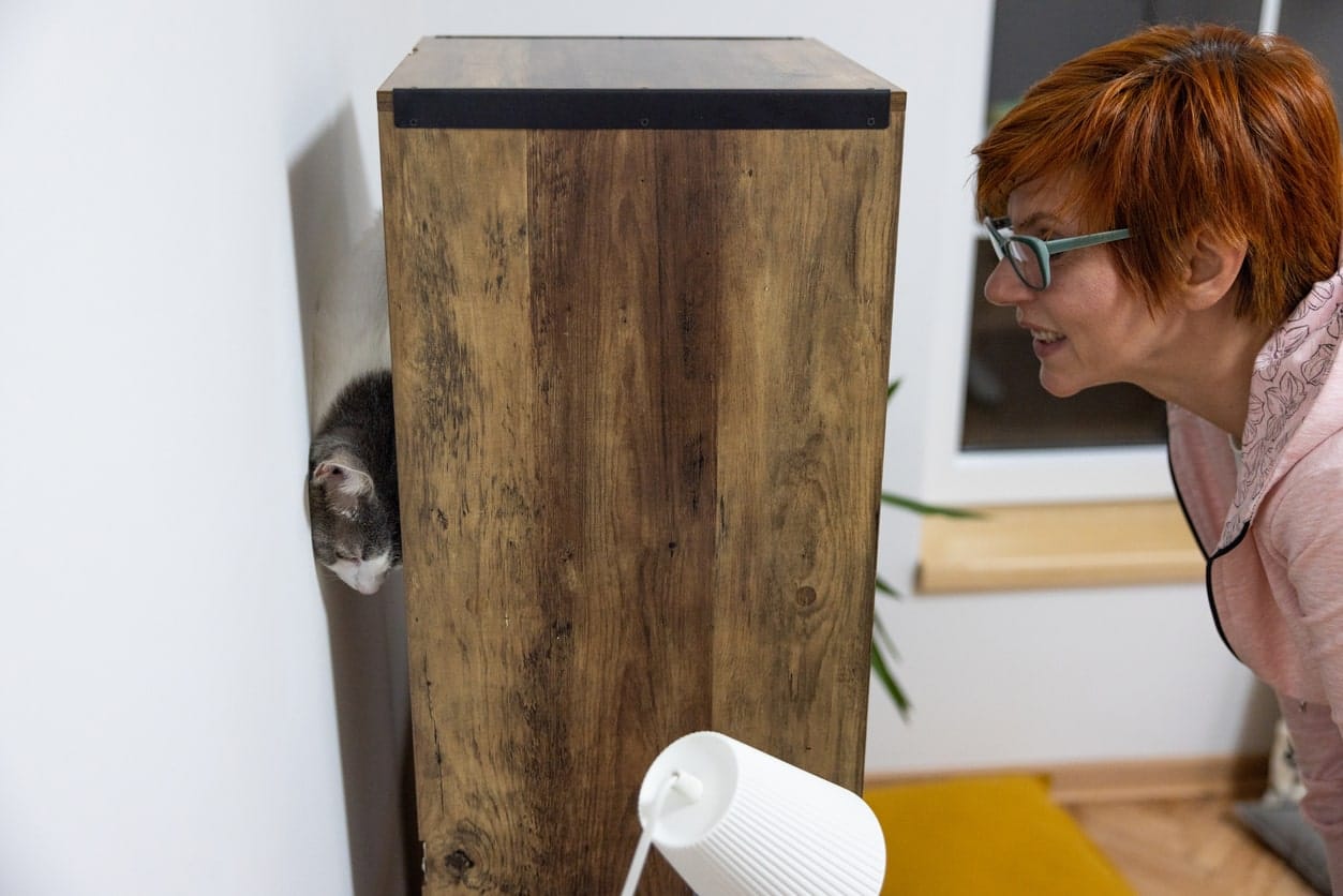 4 Reasons Your Cat Is Hiding & When To See A Vet