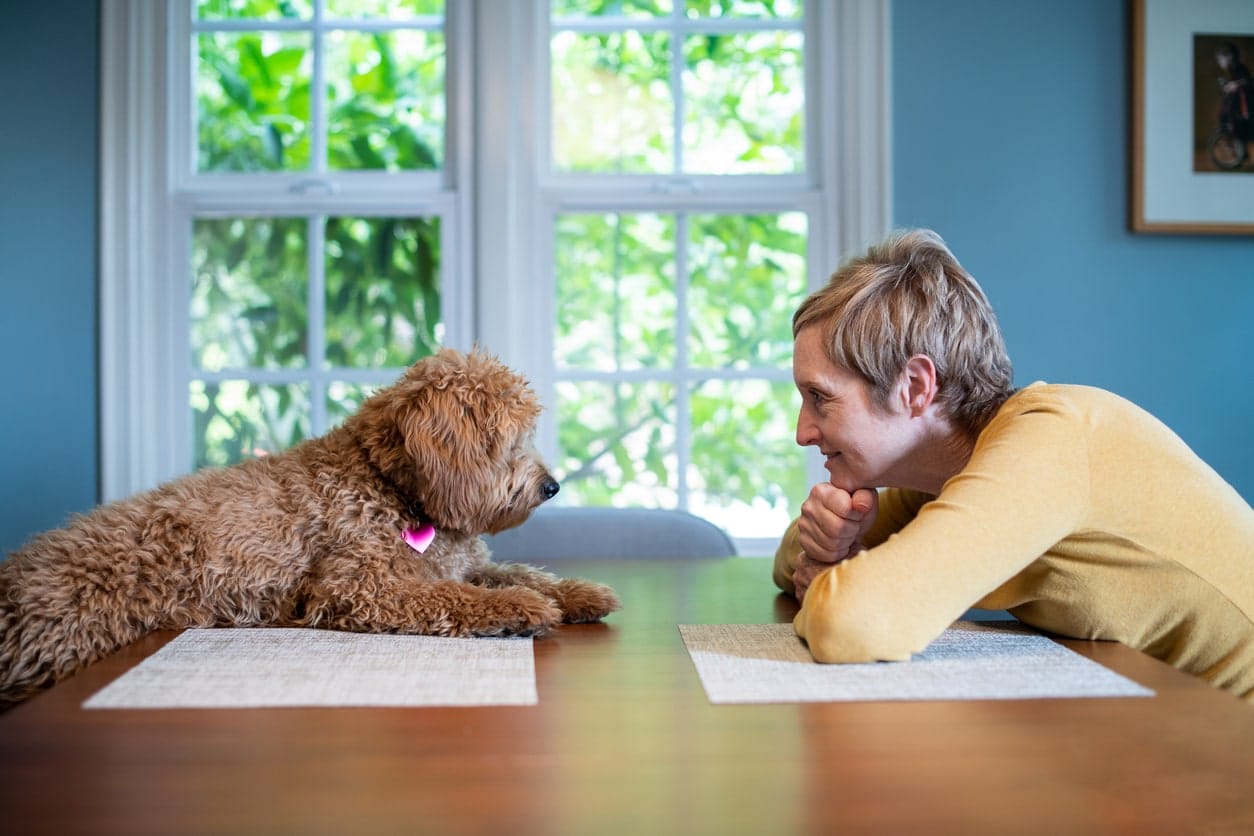 How To Speak Dog: 6 Ways To Communicate With Your Pup