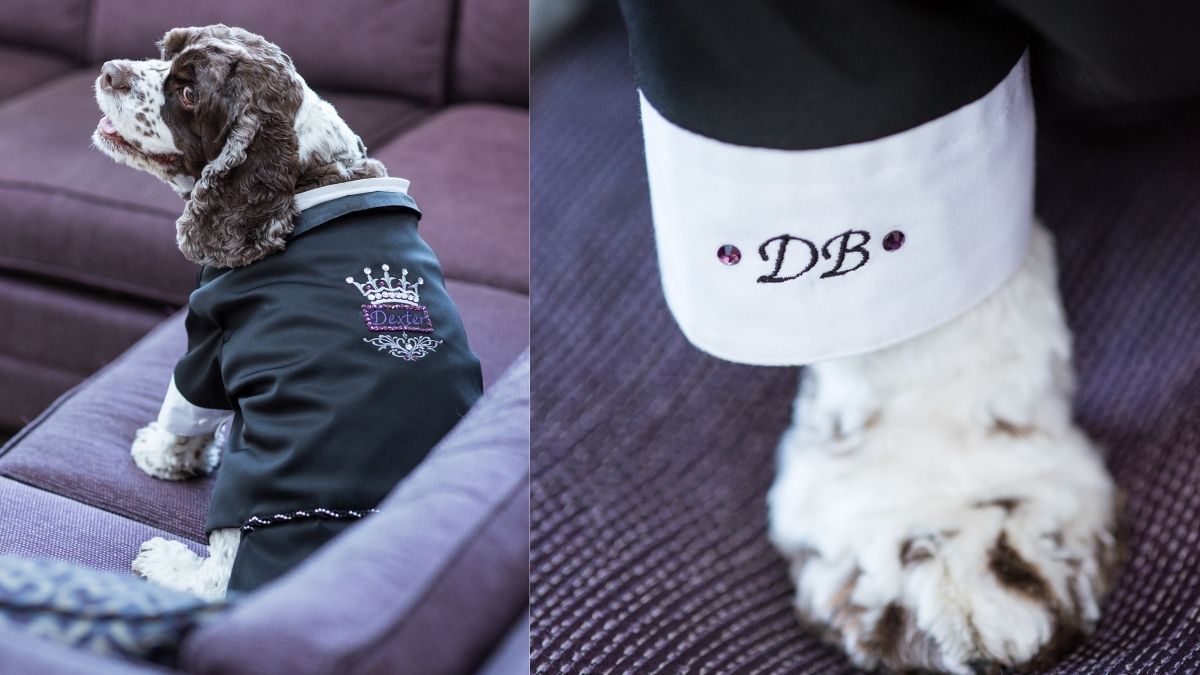 With Eye-Popping Custom Canine Couture, High Fashion Has Gone to the ...