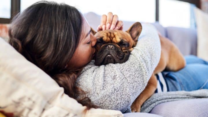 Do Dogs Have Feelings? What To Know About Dog Emotions