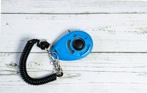 The Ultimate Guide to Clicker Training for Dogs