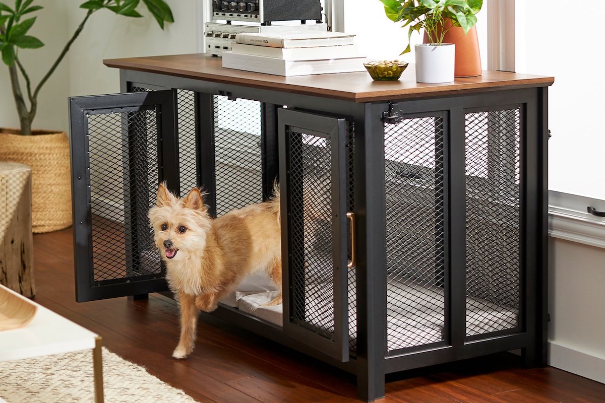 Which Dog Crate Is Best