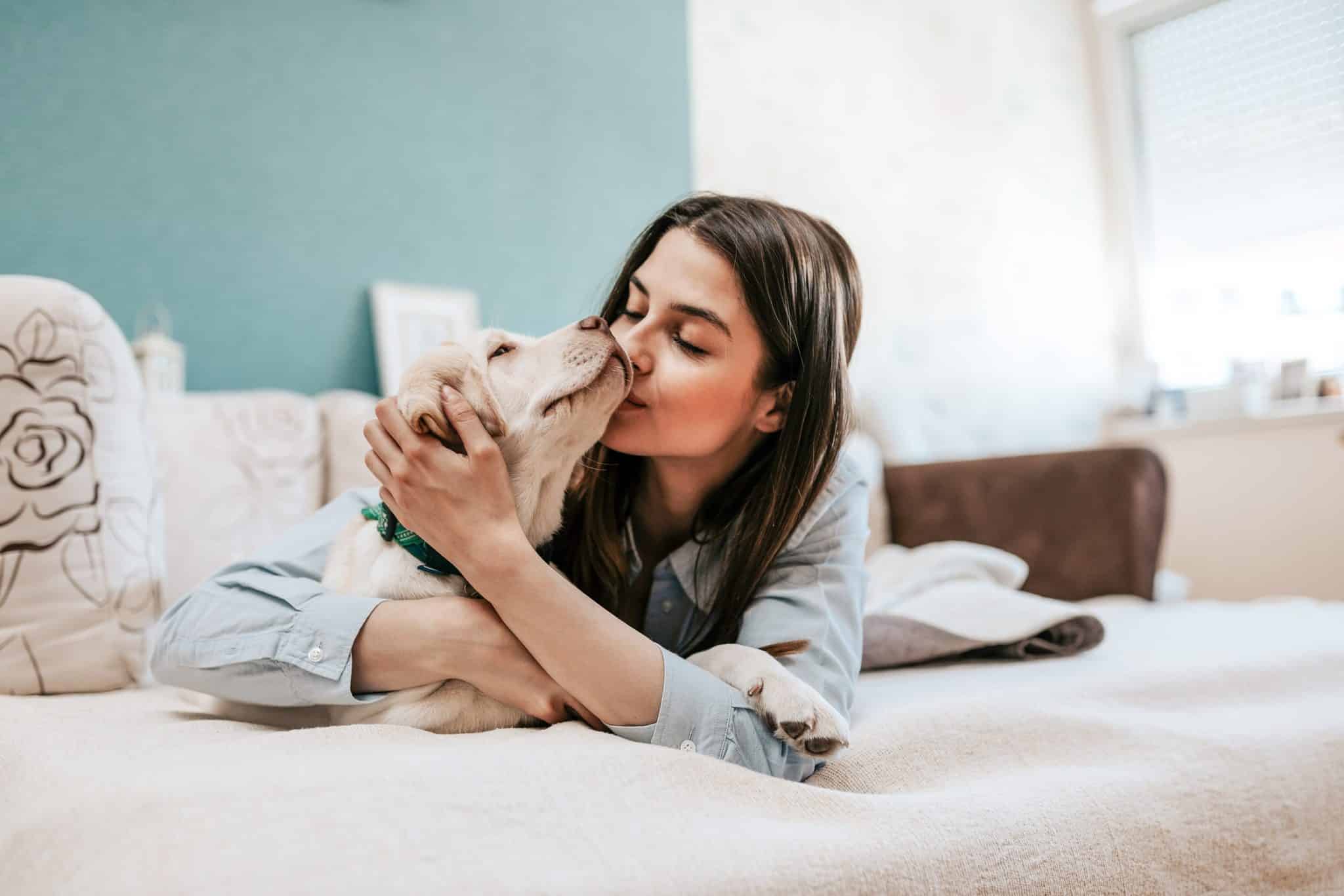 12 Signs Your Dog Loves You & Why They Do