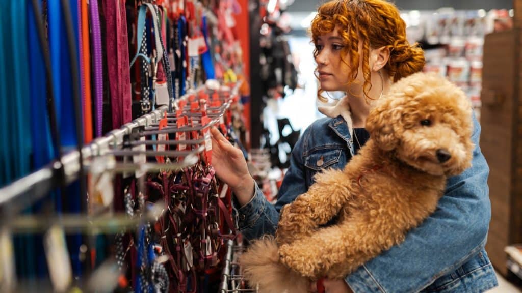 7 Essentials That Meet Your Dog’s Basic Needs