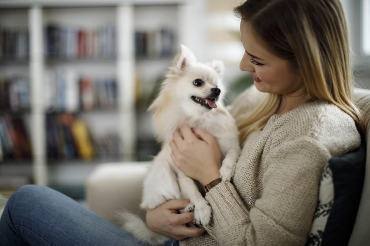 8 Ways To Show Your Dog You Love Them So They Understand