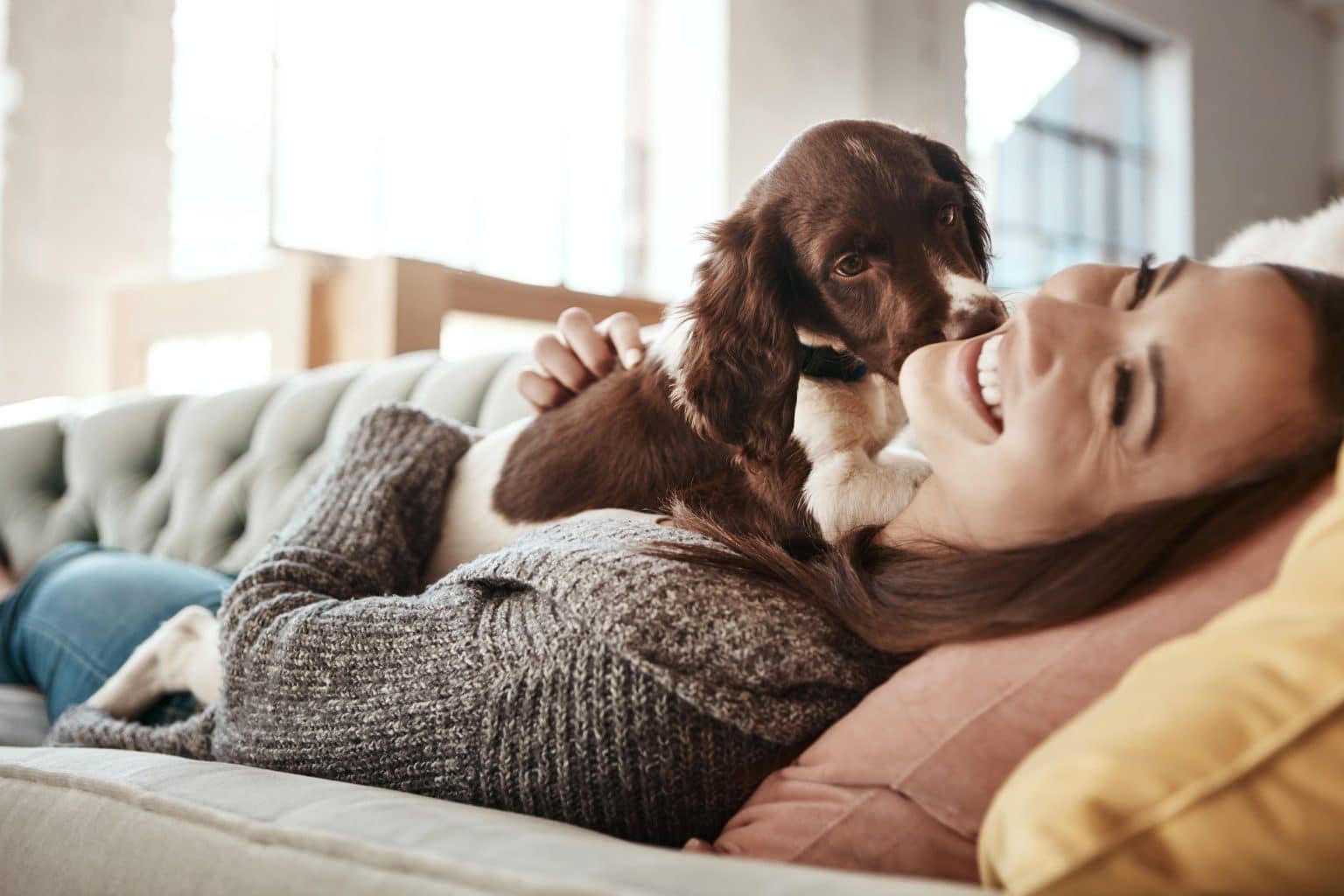 Does My Dog Love Me? How to Spot These 12 Signs of Dog Love