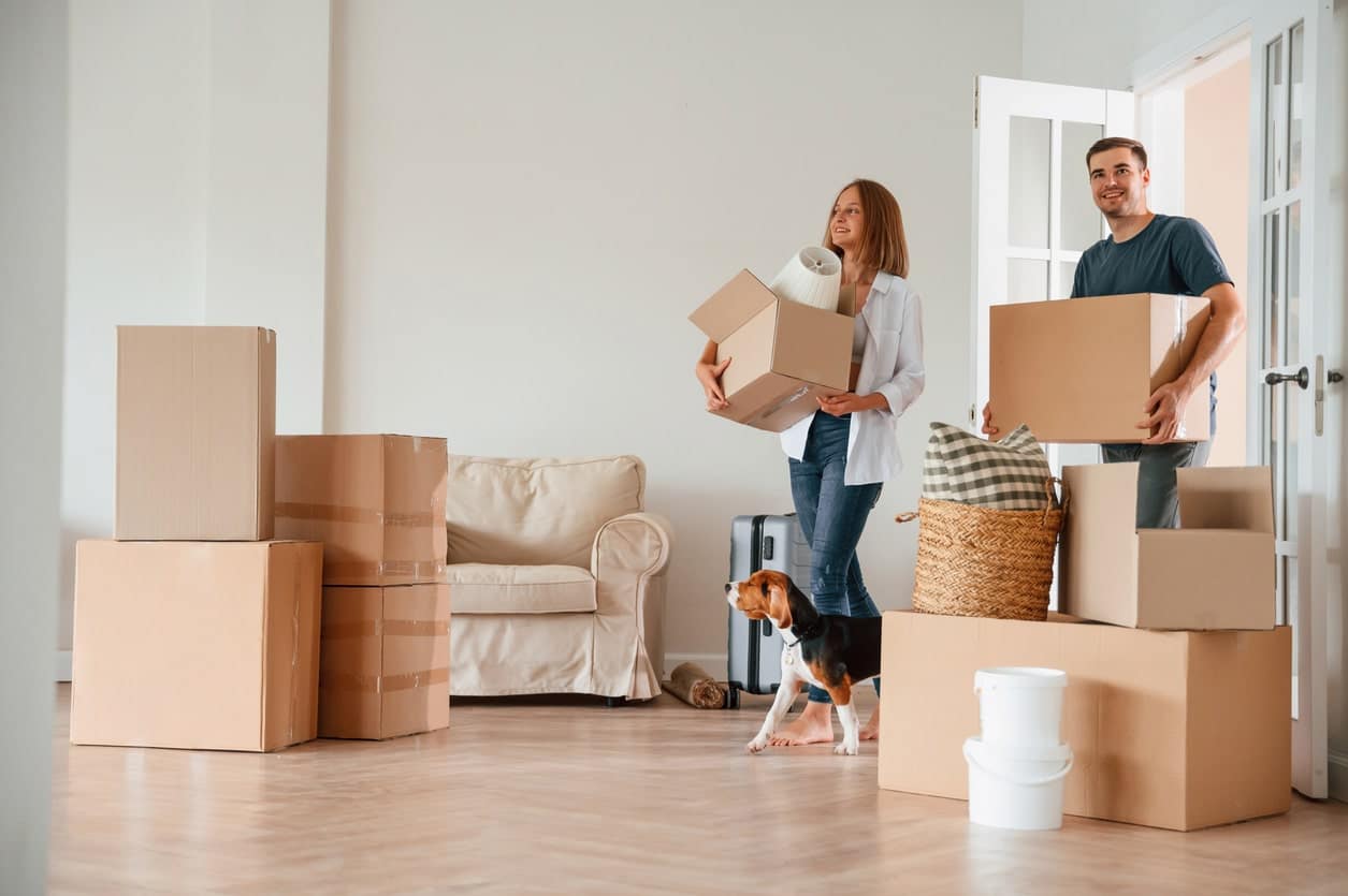 Moving With Your Dog: Tips & Step-By-Step Guide