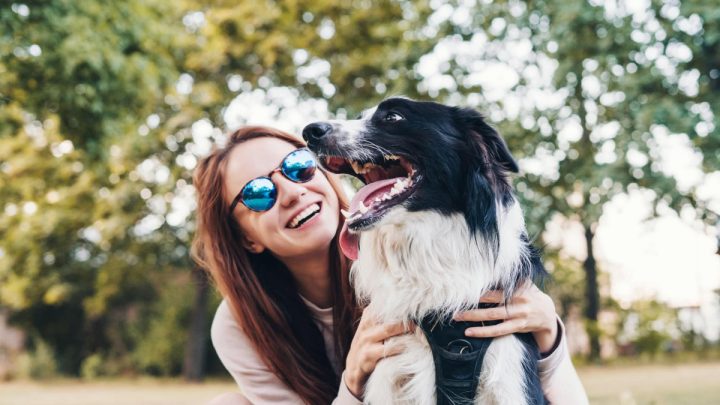 Do Dogs Smile Because They Are Happy?