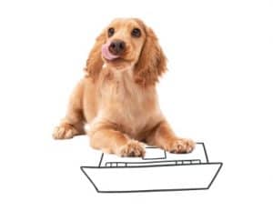 Rover's Guide to Becoming a Dog-Friendly Company | Rover.com