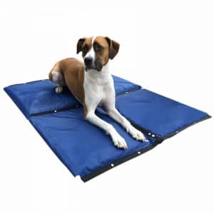 The Best Dog Cooling Mats, Beds, and Pads to Keep a Dog Cool