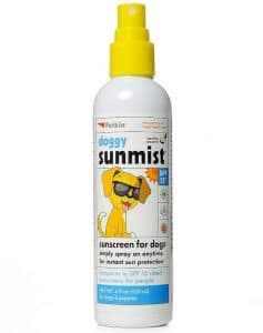 The 6 Best Dog Sunscreens for a Safe, Sunburn-Free Summer