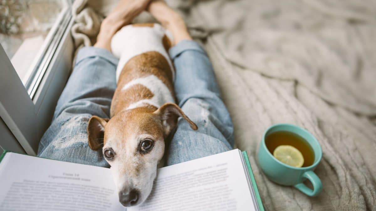 Why Are So Many Dogs Named Bella, Max, and Luna?