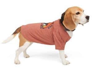 The Best Dog Sun Shirts for UV Protection and Summer Safety