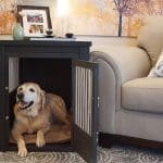 The 12 Best Big Dog Crates for Large and Giant Breeds