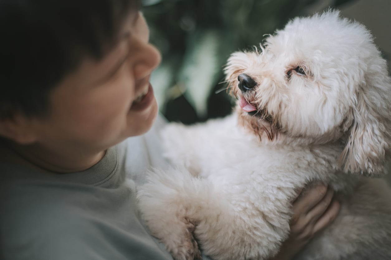 Here's Why Your Dog Is Reactive & How You Can Help