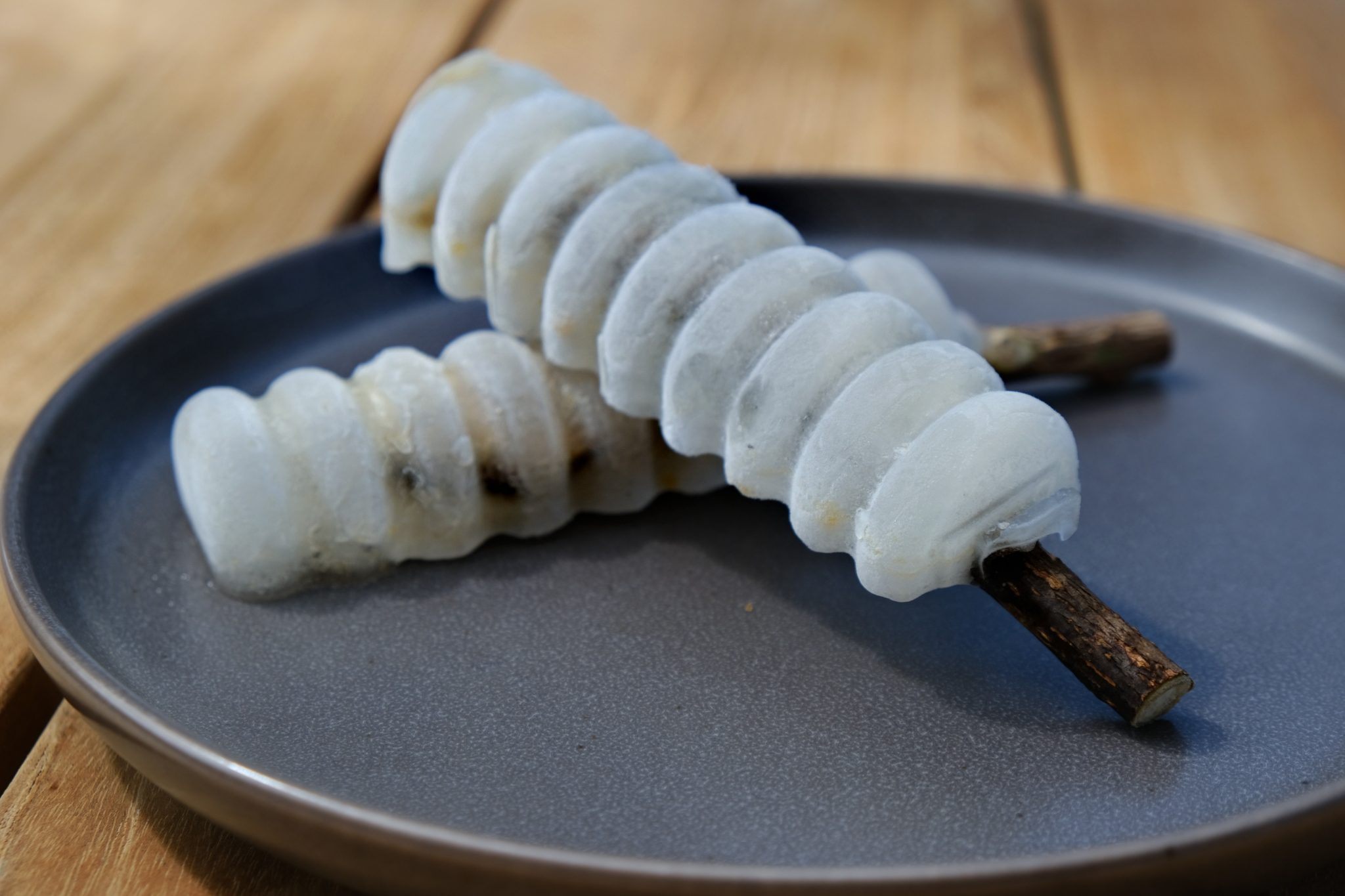 DIY Cat Popsicles for a Refreshing Summertime Cat Treat [Recipe]