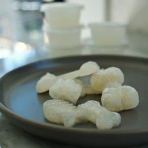 Easy Bone Broth for Cats [Recipe] | The Dog People