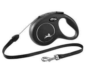 Why Are Retractable Leashes Bad? Experts Break Down the Dangers