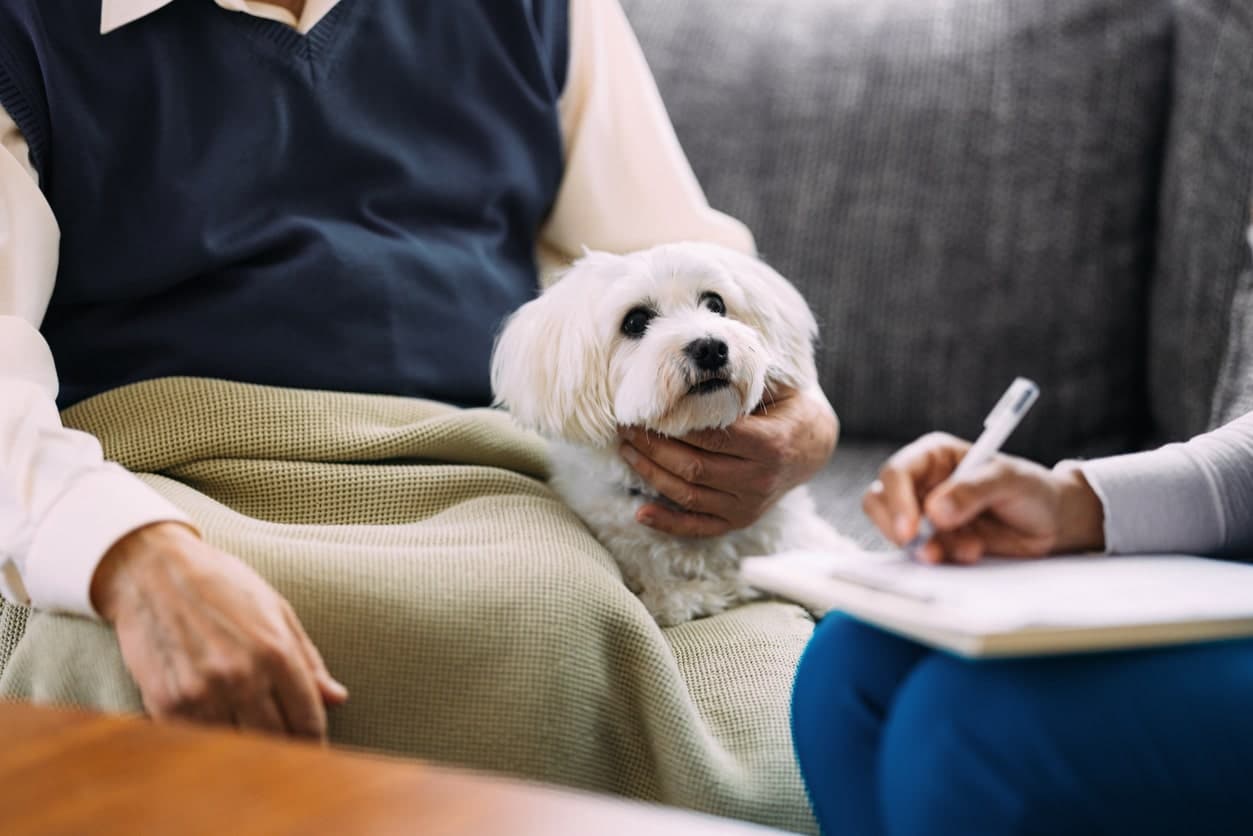 Registering Your Dog As An Emotional Support Animal (ESA)