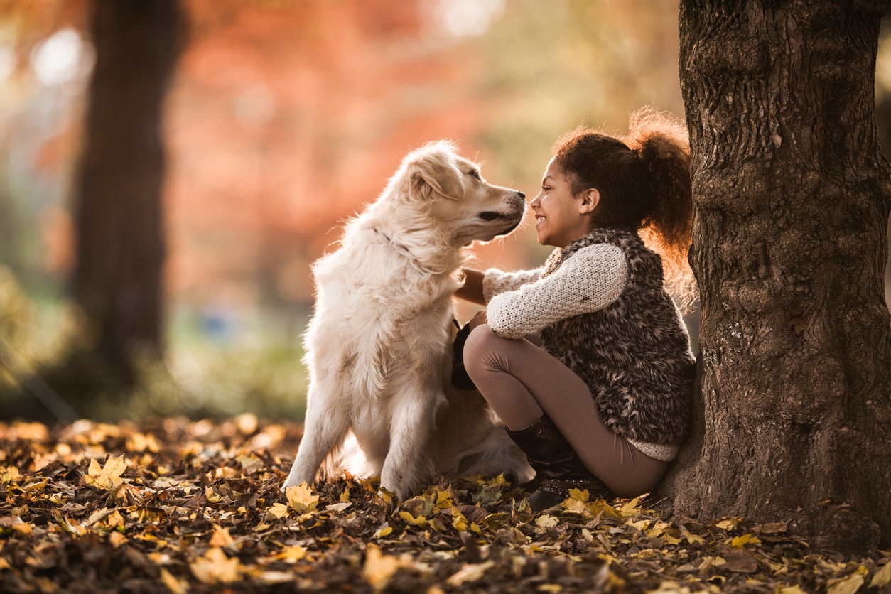 Alpha Dog Theory Debunked: Why Dominance Is a Myth in the Dog World