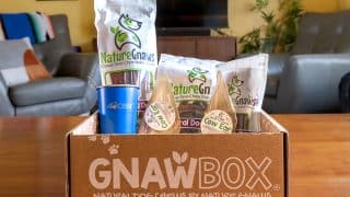 Rover Test Pups Review Nature Gnaws Gnaw Box Subscription