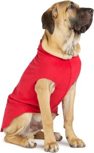 The 11 Best Dog Fleeces for Chilly Weather
