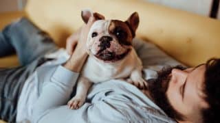 15 Signs Your Dog Is Feeling Happy