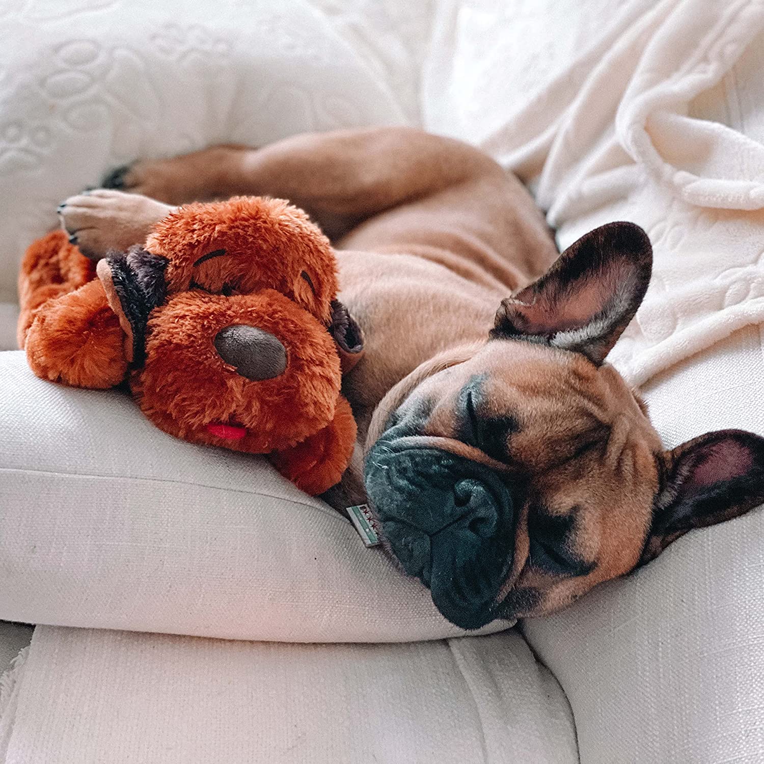 What Should A Dogs Heartbeat Feel Like