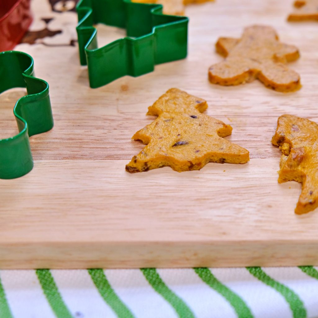 'Cheesy' Holiday Cat Treats [Recipe] | The Dog People by Rover.com